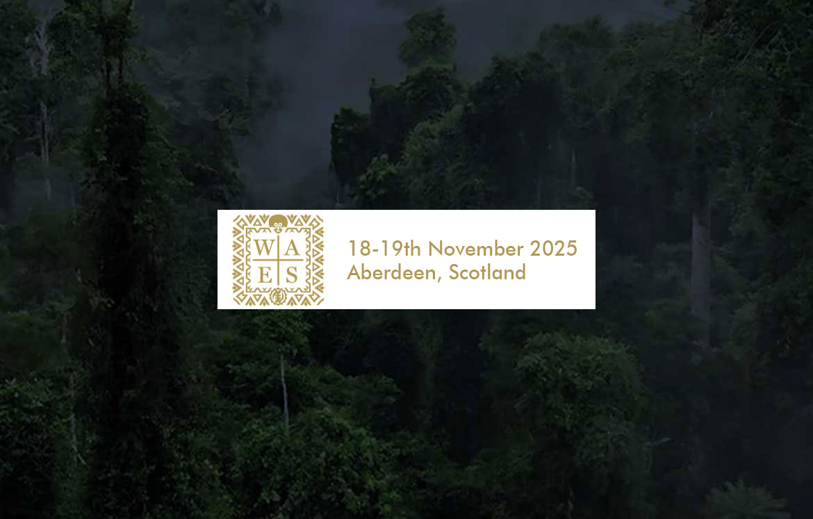 The Agenda - The Wider African Energy Summit 2025